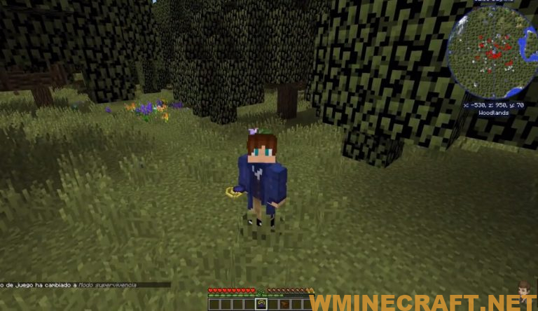 Baubles Mod 1.15.2-1.12.2 for Minecraft - add space in the character's ...