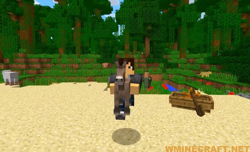 Carry On Mod 1.16.5/1.15.2/1.14.4 - Pick up blocks and carry them easily