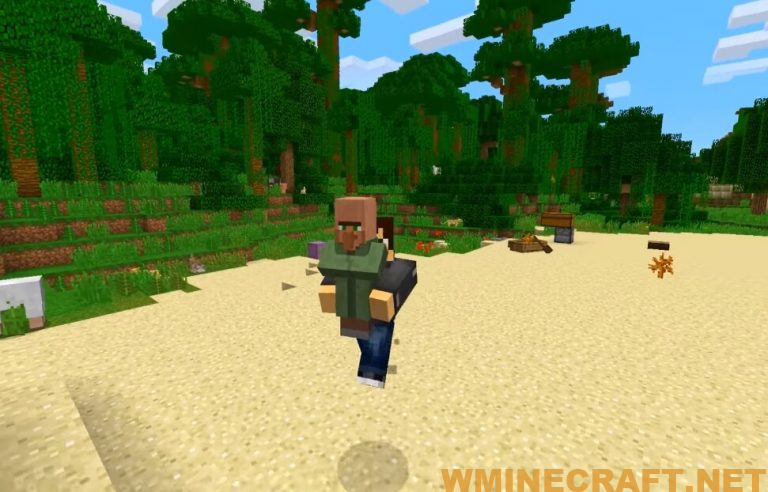 Carry On Mod 1.16.5/1.15.2/1.14.4 - Pick up blocks and carry them easily