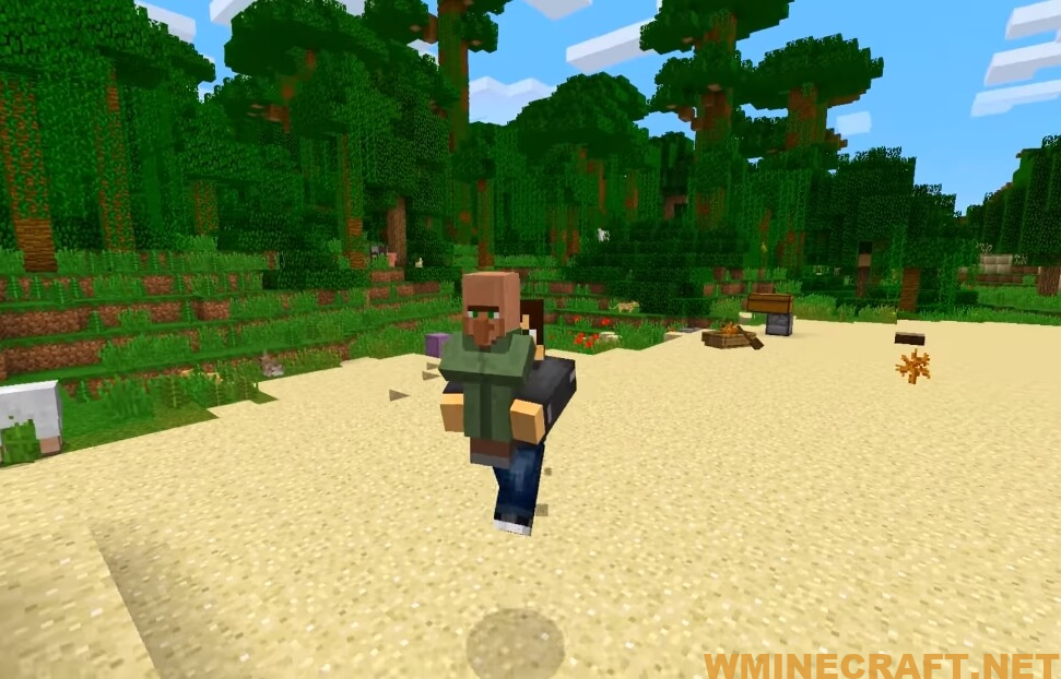 Carry On Mod 1.16.5/1.15.2/1.14.4 - Pick up blocks and carry them easily