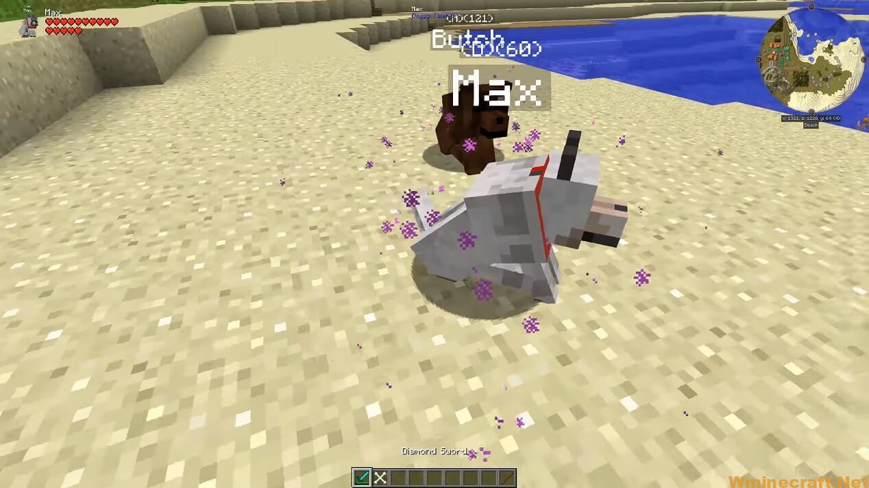 Doggy Talents Mod 1.16.5 and 1.15.2 - Training your pet in Minecraft ...