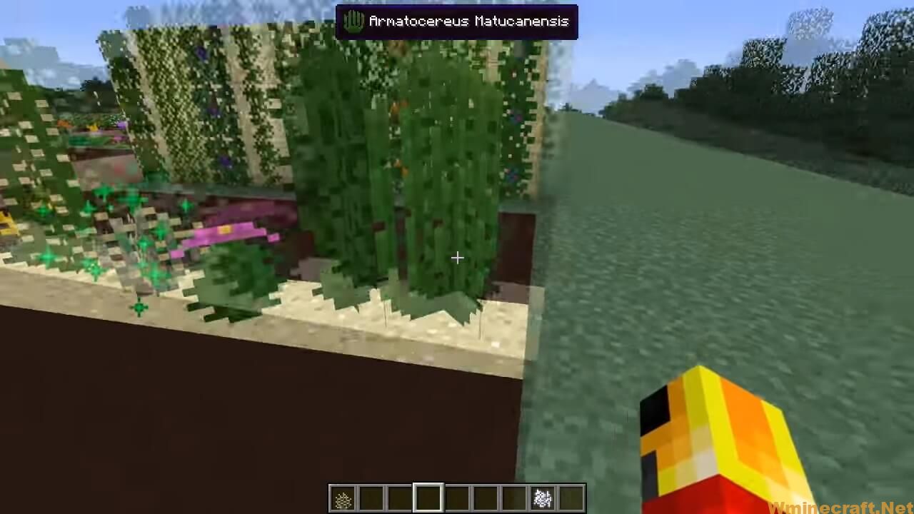 Plant Mega Pack Mod 1.12.2 for Minecraft - Theme of plants - Wminecraft.net
