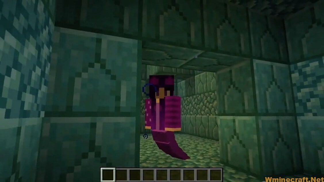 Mermaid Tail Mod [1.16.4-1.15.2] - Mermaid school version full of fun ...