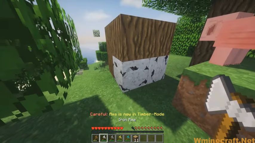 timber-mod-screenshot-4 - World Minecraft