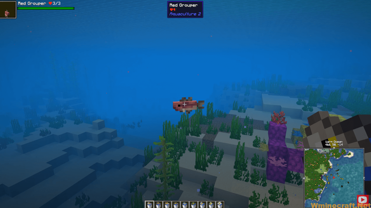 Aquaculture 2 Mod [1.7.10 → 1.16.5] - Wminecraft.net